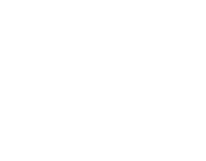 Aircraft - The Delos Company